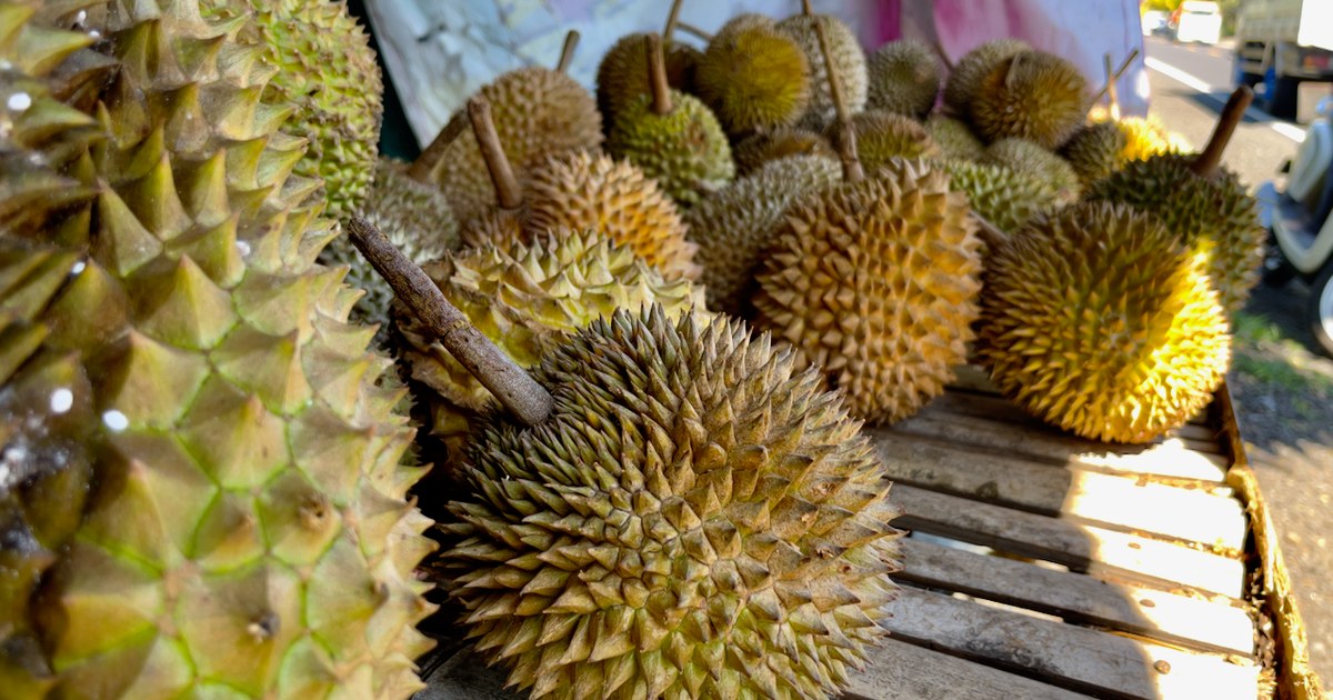 The Ultimate Guide to Durian: Everything You Need to Know